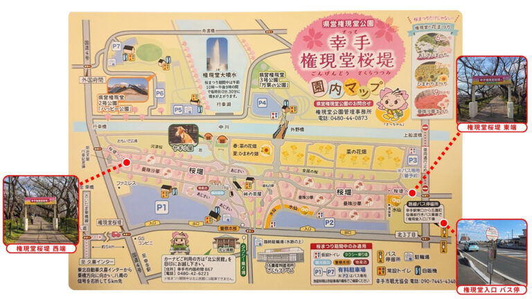 埼玉・幸手【権現堂桜堤】東端から西端まで歩いて調査｜桜の名所の東西の入口を写真で紹介 - れきちり散歩